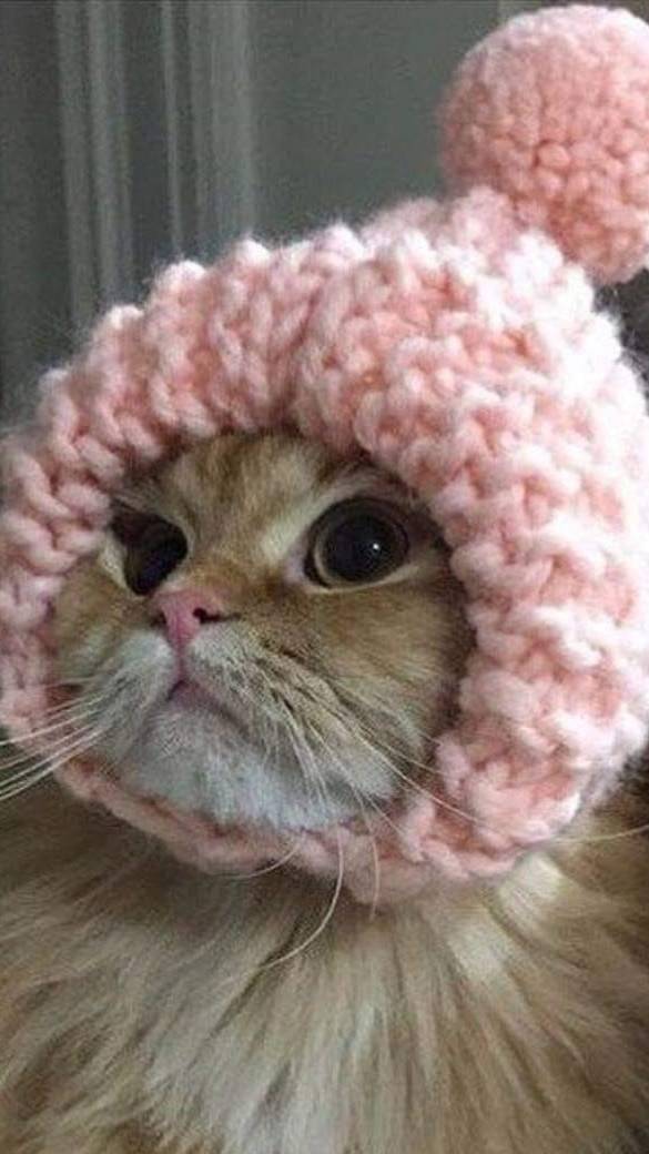 Смешное видео (Часть 5)