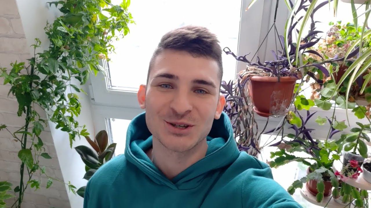 2 ур Дружбы  Лекция или мастеркласс