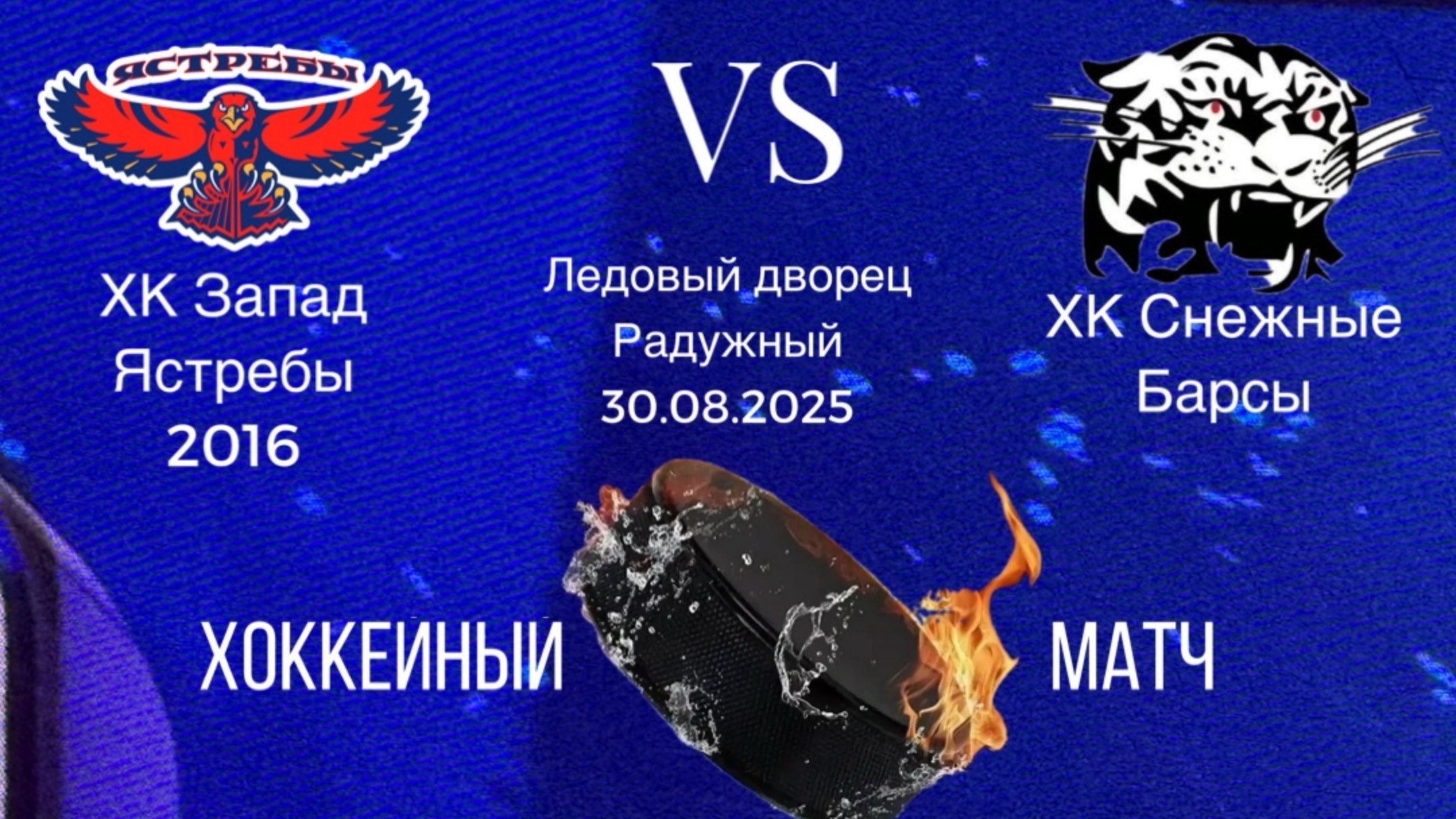 Детский хоккей. Товарищеский матч.Запад Ястребы 2016.Снежные Барсы.SE25E03