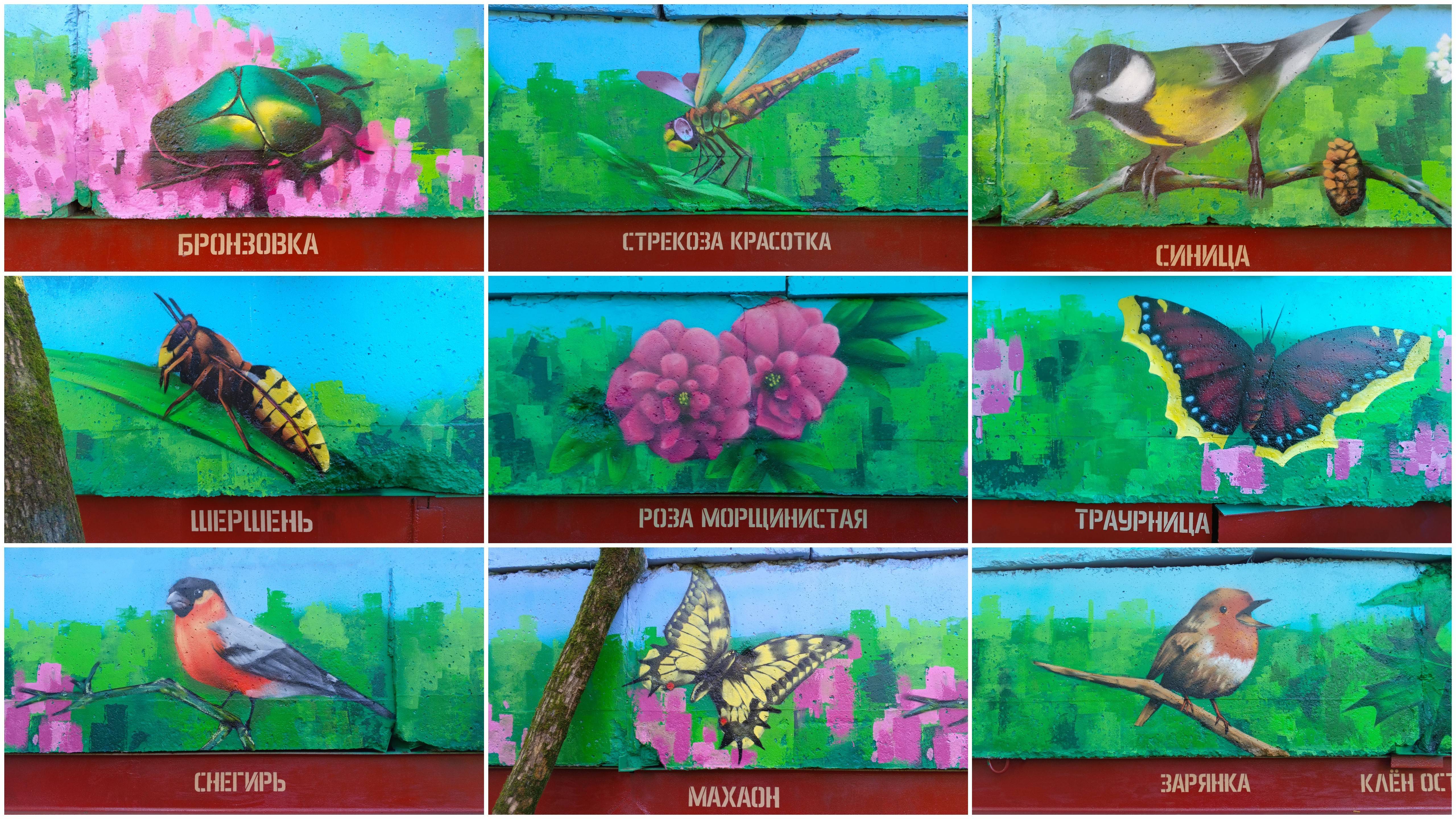 Граффити о флоре и фауне (Пермь)