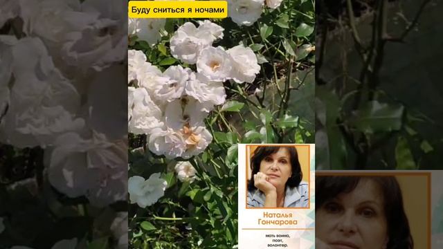 Жуковский  Песня  на стихи  Натальи Гончаровой    Почему так сердце болит