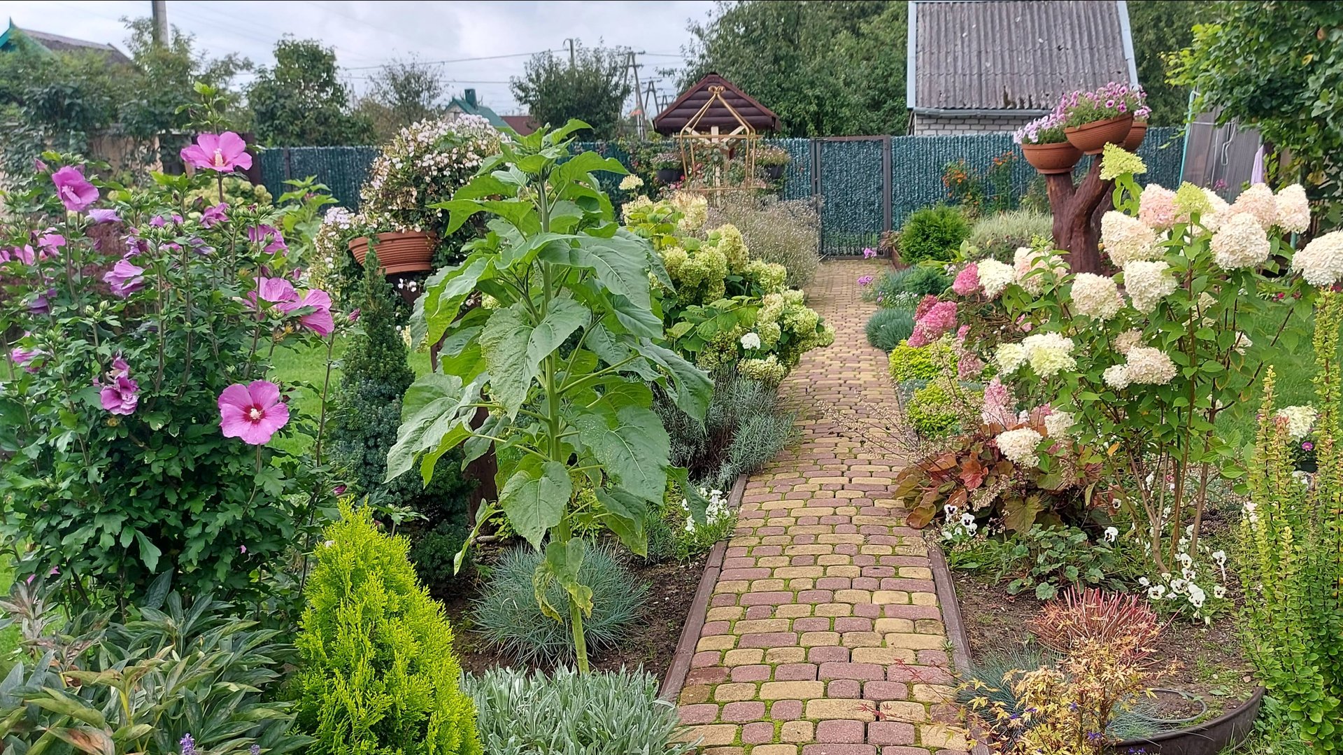 Вот и лето прошло🌸 А садовые хлопоты нет. Преображение очередного цветника🌞 #любимаядача