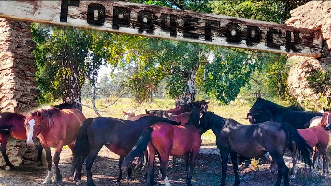 Горячегорск