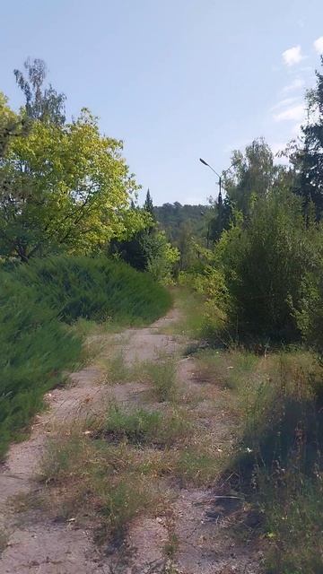 Зелень заброшенного лагеря в бывшей МССР республике!