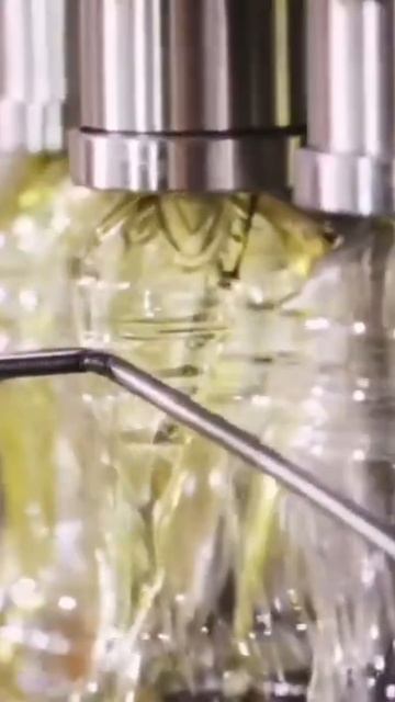 Линия производства подсолнечного масла