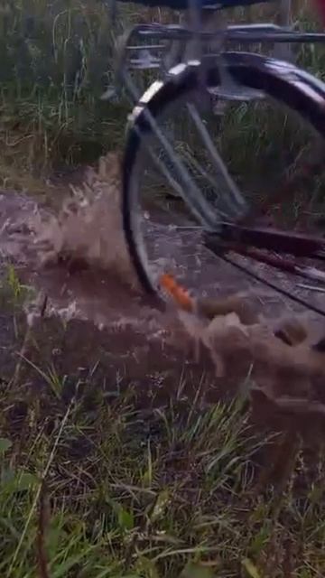 Да ничего такого.. Сторонка Родная..