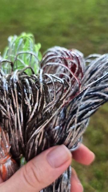 Vamp | 90% хлопок, 10% па | preview