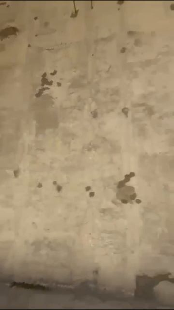 Московская обл, г Красногорск, ул Лесная, к 27 , аренда 179 м2, лот 71509