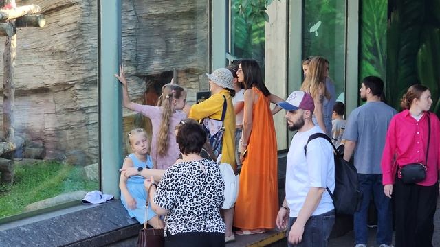 Зоопарк  в Москве