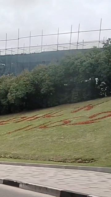 Мне нравится этот город..