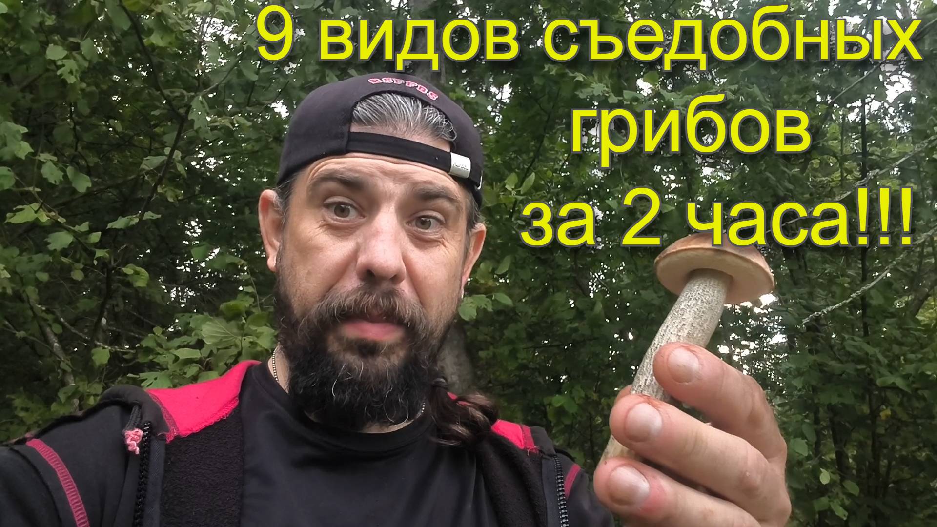 Собрал 9 видов съедобных грибов за 2 часа!!!