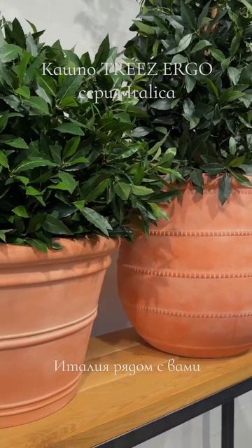 Рады представить вам новую коллекцию кашпо Treez Ergo Italica. #home #plants #дизайнинтерьера #decor