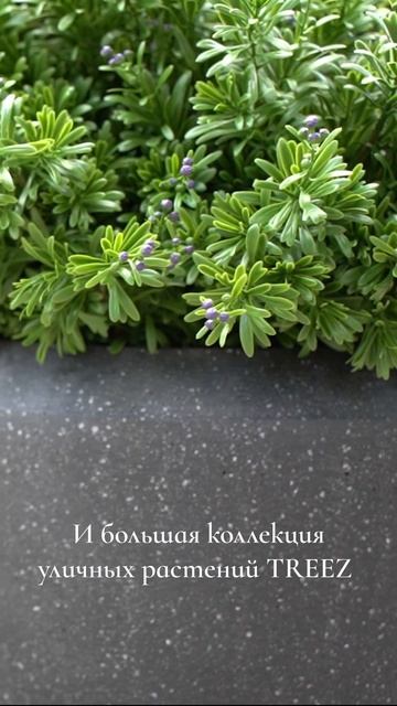 Кашпо TREEZ Effectory серия Quartz