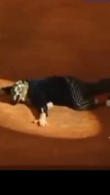 Встреча Арли с Олегом Поповым в Нюрнберге