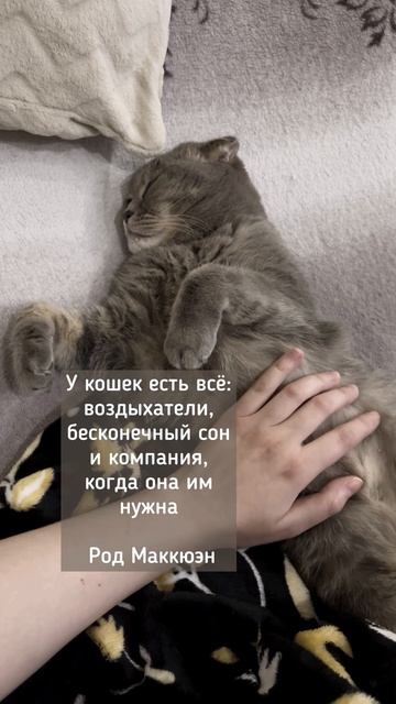 Цитата о важном (37) #shorts