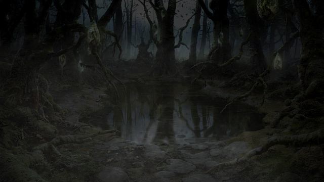 12 - Swamps of the mysterious forest