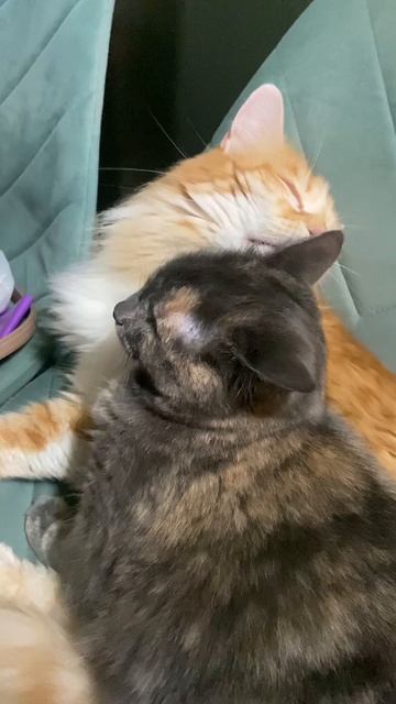 Один и ЛУна. Женское счастье - был бы милый рядом.