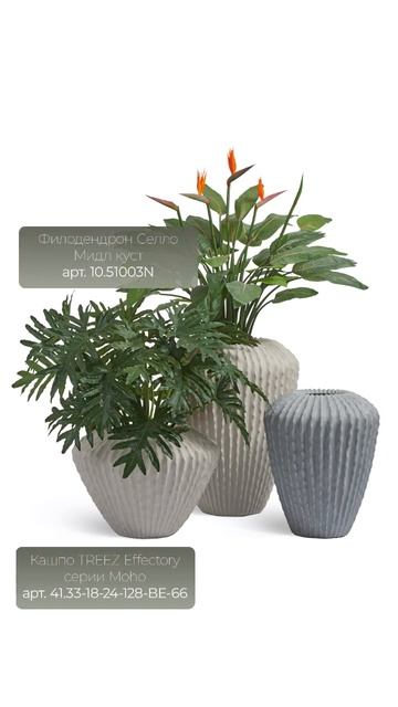 Дизайнерские композиции от Treez Collection