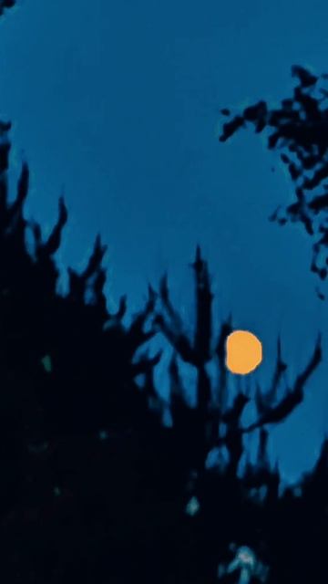 За 48 часов до Клубничной луны..Сторонка Родная..