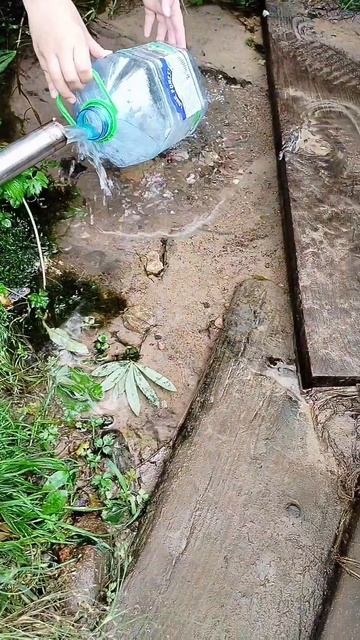 Живи родник живи..Сторонка Родная..