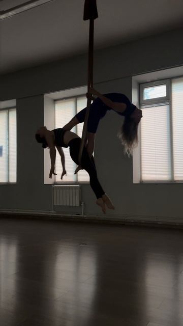 Aerial Hammock Duo