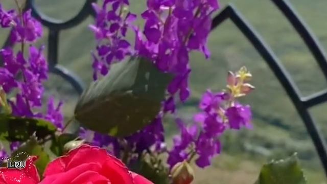 Реальные истории из жизни слушать онлайн. Предательство в любви...