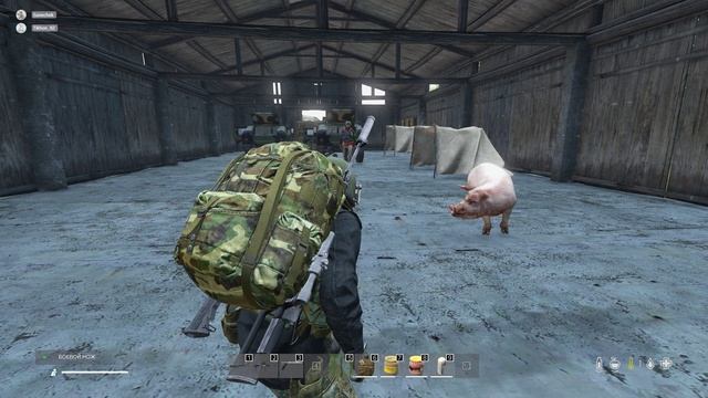 Живность на базе)