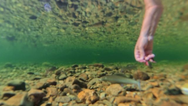 26_дискавери