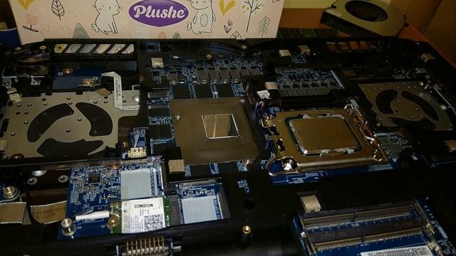 ПК в шкуре ноута из Поднебесной TV#007: Clevo NH50JNN \ Hasee ZX-10  |Обзор редкой модели для РФ.