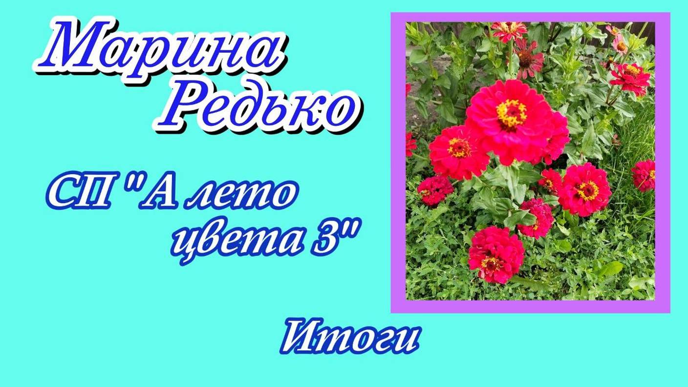 СП "А лето цвета ... 3" / Итоги / частник 35