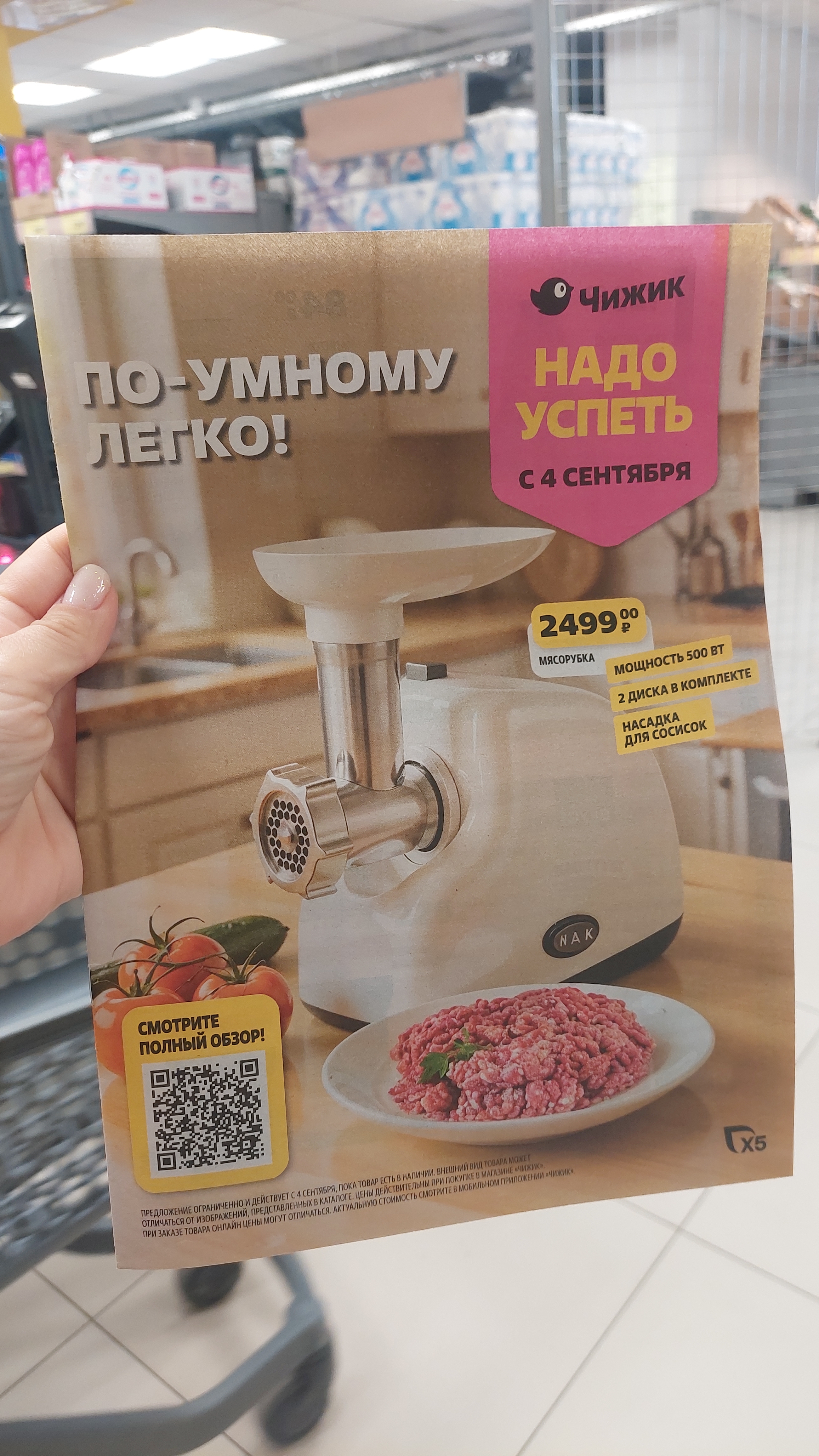 Чижик Новое Сегодня