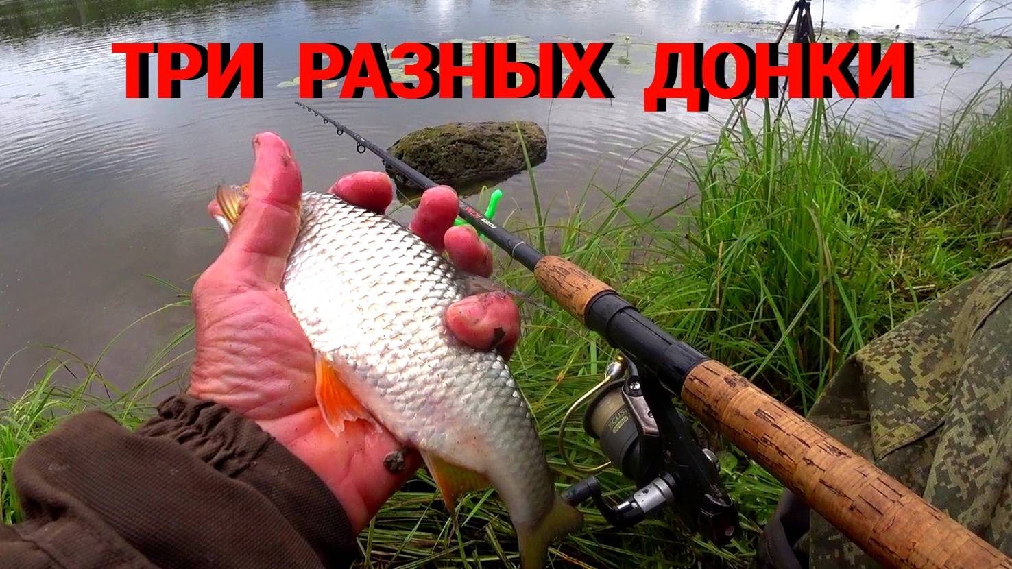 ПЛОТВА на ПШЕНИЦУ. Пикер ловит, донки молчат. Рыбалка на ОКЕ в конце августа.