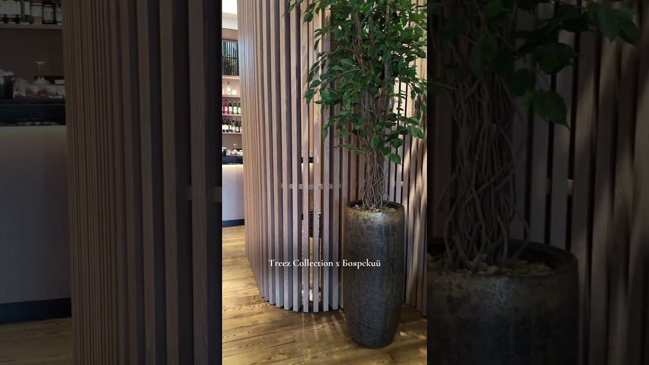 Treez и «Боярский»: статус начинается с деталей