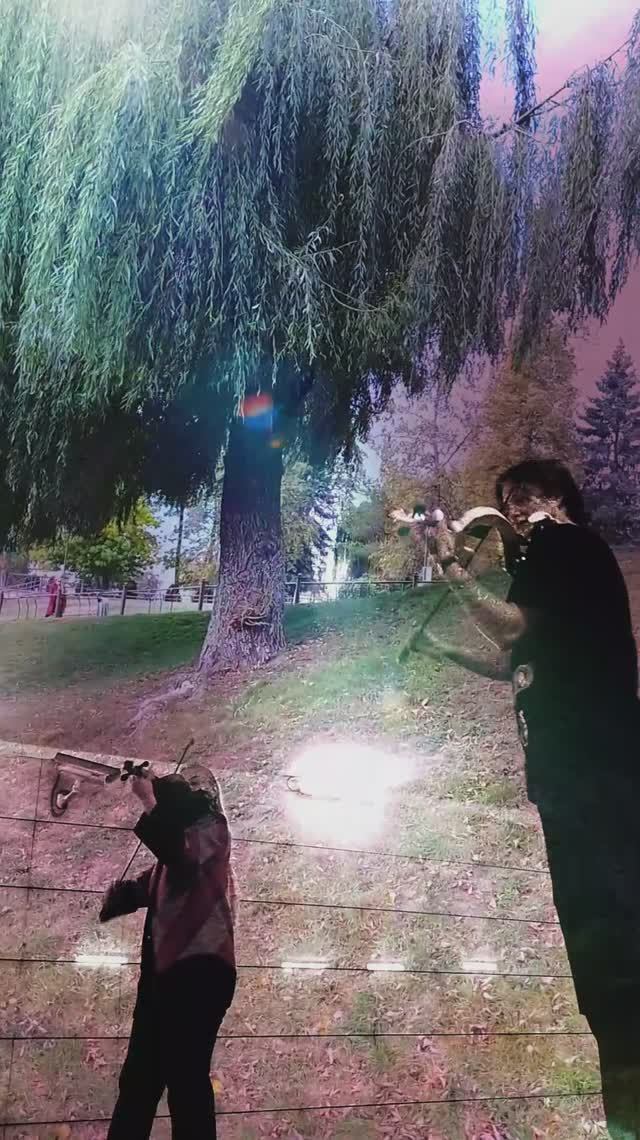 "Луч солнца золотого "  дуэт электронной скрипки и классической  в живом исполнении. Алина Герц