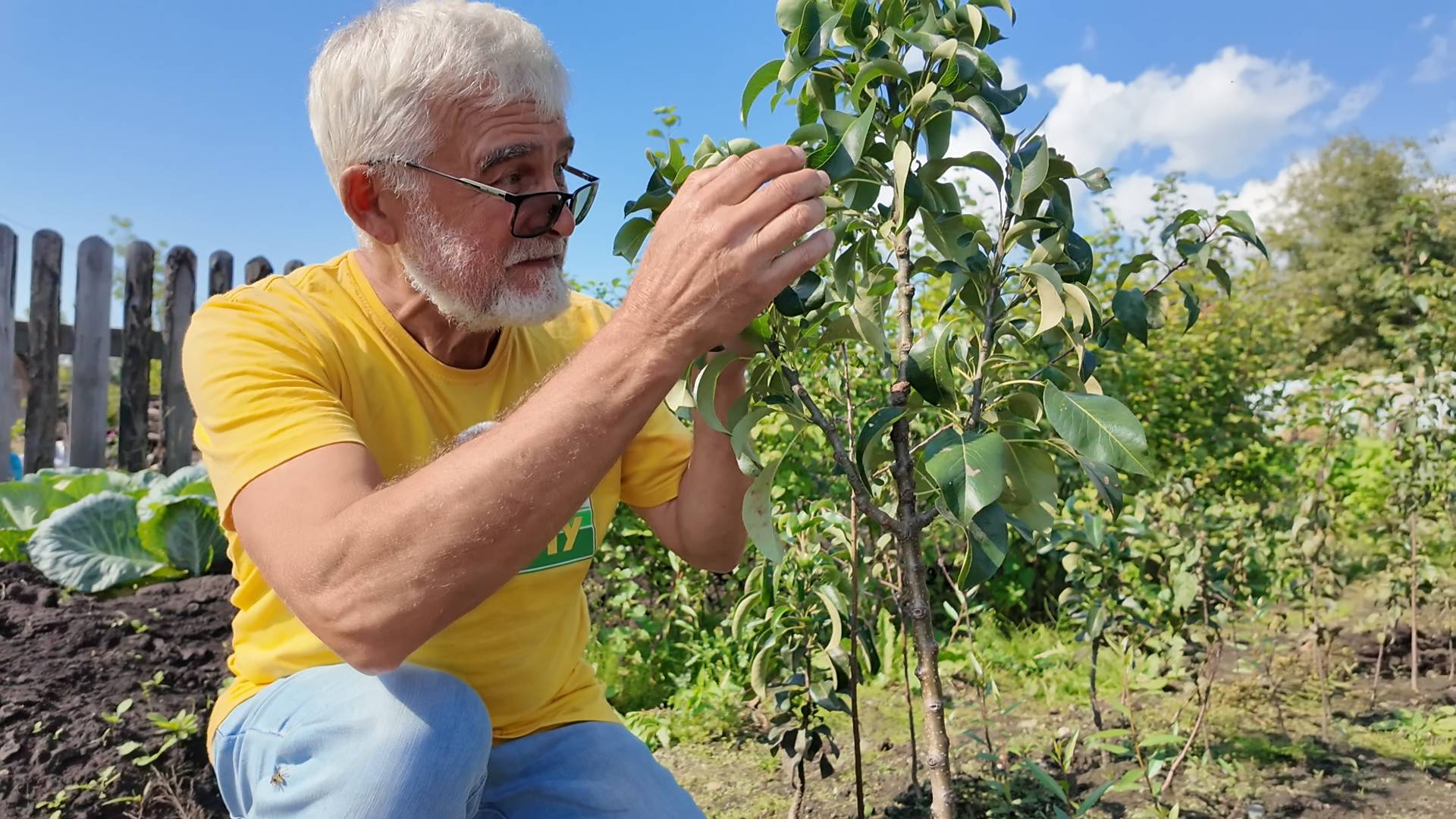 Вперёд, товарищи! На дачу! Выпуск от 02.09.25