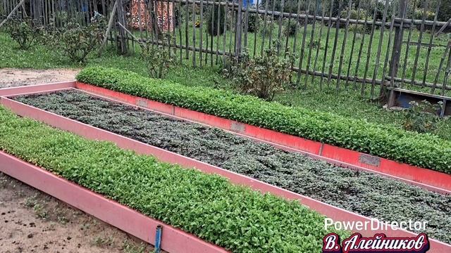 Последние дни августа