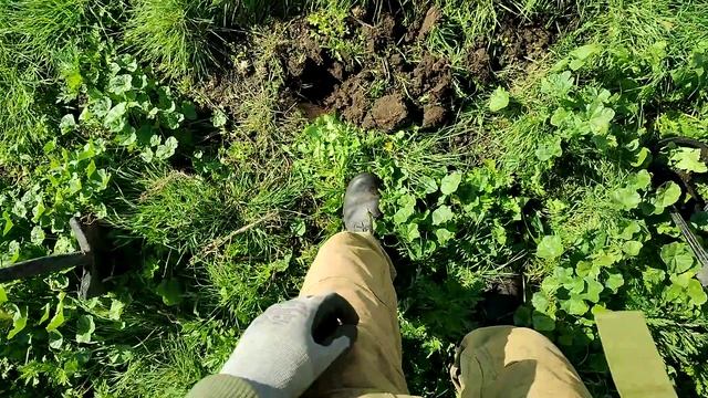 🔍Монеты из глубины веков: наша экспедиция в забытое урочище!