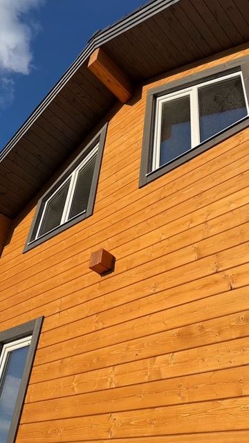 Вы не поверите, что можно сделать за 1,5 недели