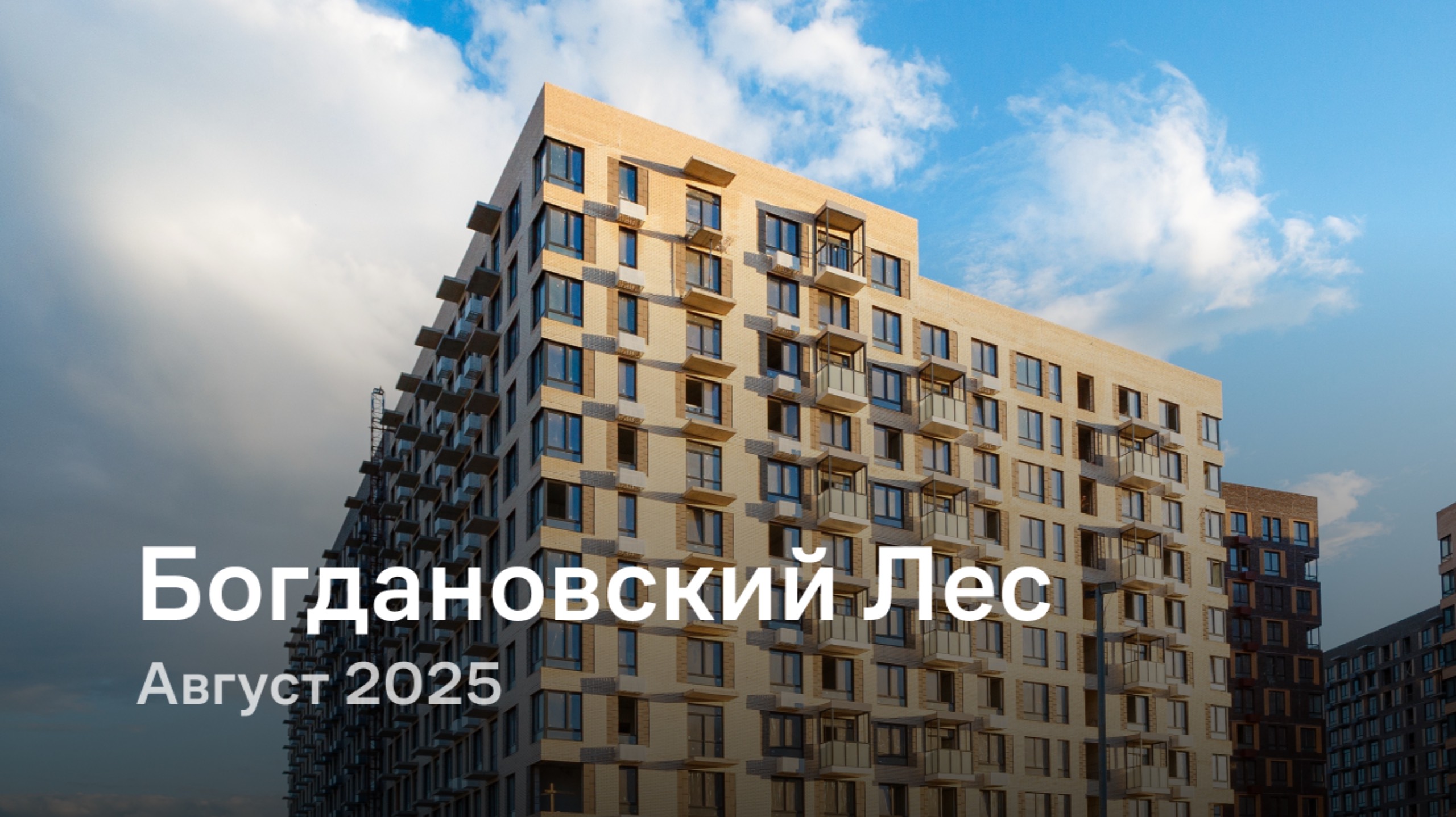 «Богдановский Лес» / август 2025