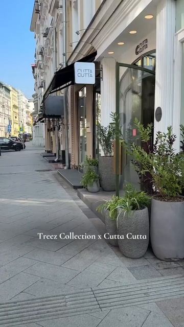 Cutta Cutta: атмосфера южного уюта с акцентами Treez