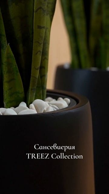 Кашпо TREEZ Effectory серия Crystal