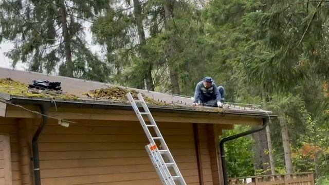 Чистка крыши от мха в загородном отеле  Cosmos Collection Izumrudny Les 5*