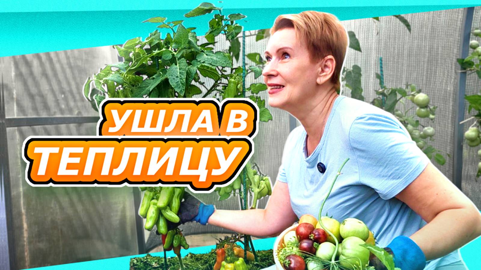 2 сентября | дача |  теплица, что выросло, то выросло