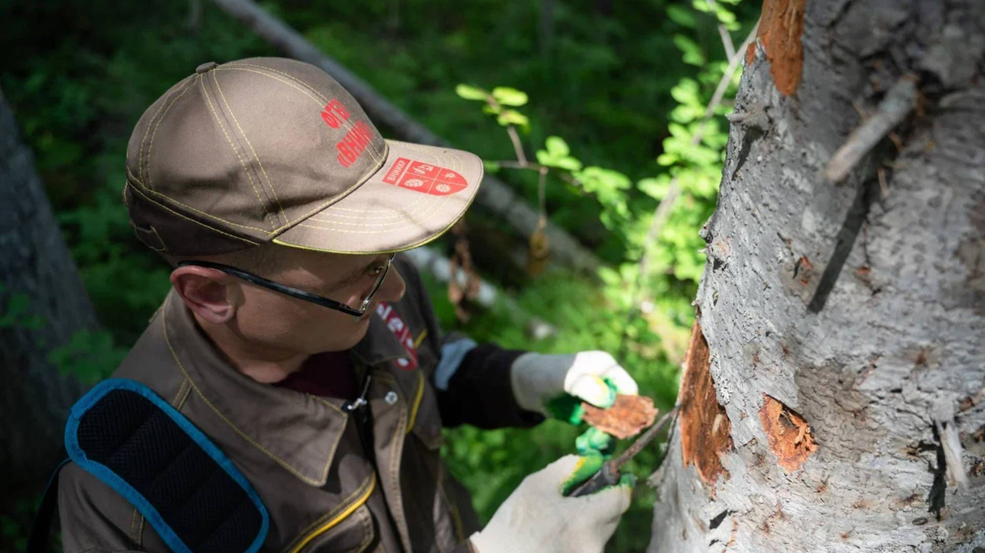 Конференция «Защита леса – защита будущего»: новации для природы