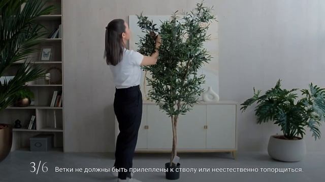 Как расправить искусственное дерево оливы?!