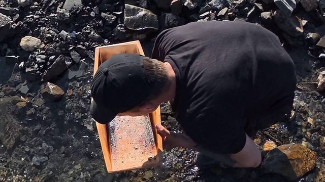 24_золотая лихорадка