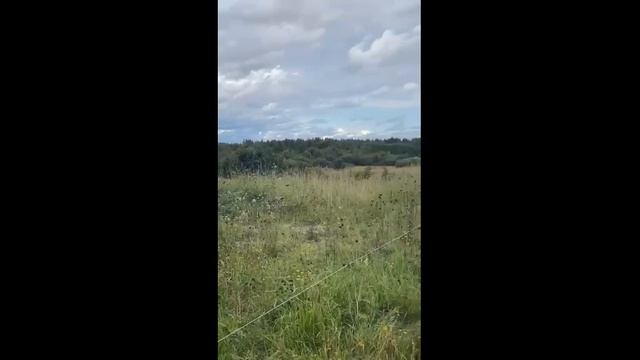 Дом сурского священника. Идет строительство.