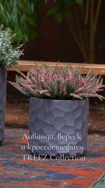 Кашпо TREEZ ERGO