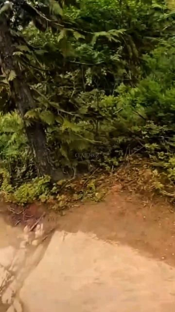 Встреча на дороге