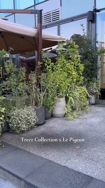 Оформление веранды Le Pigeon: вдохновение на новый сезон